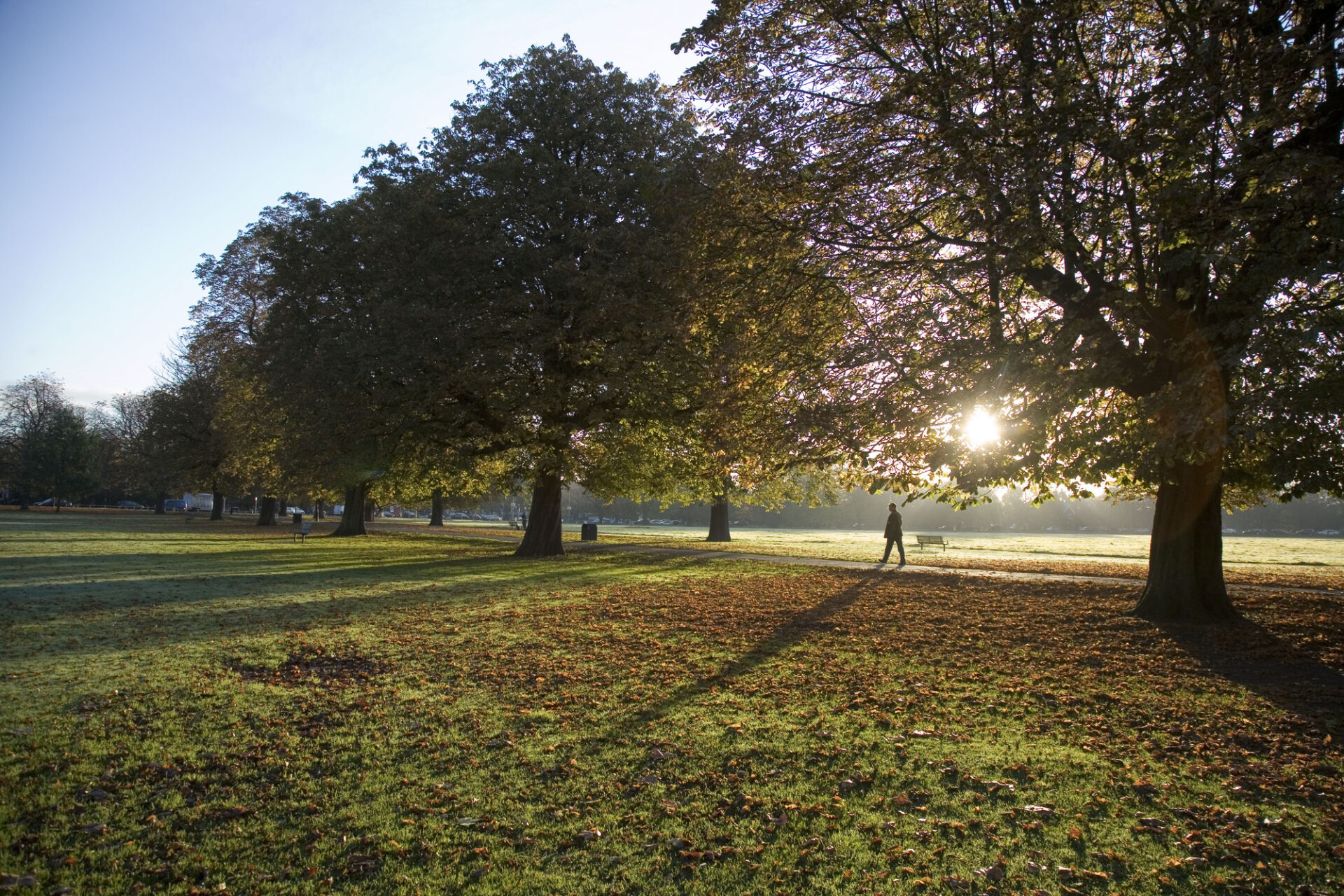 Ealing Walking Club - Do Something Good